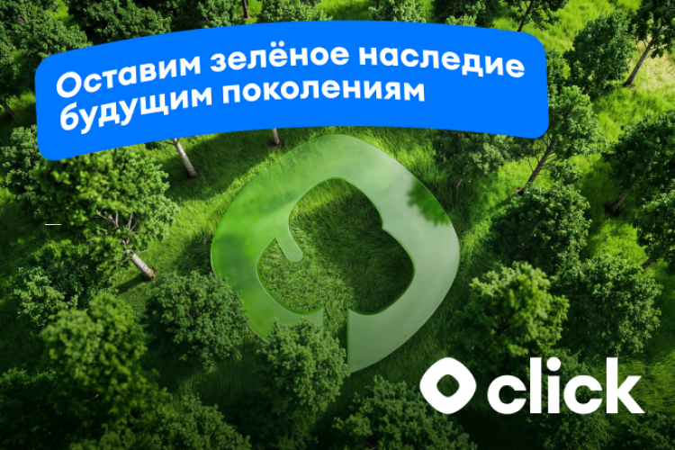 Как деревья помогают очищать воздух — и как технологии могут усилить ...